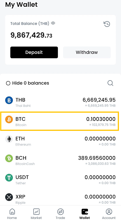 Cryptocurrency deposit via application – Support Center | Z.com EX